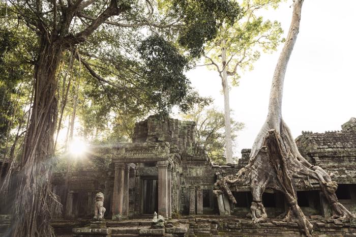 SmartGuide: Discover the beauty of Angkor Wat